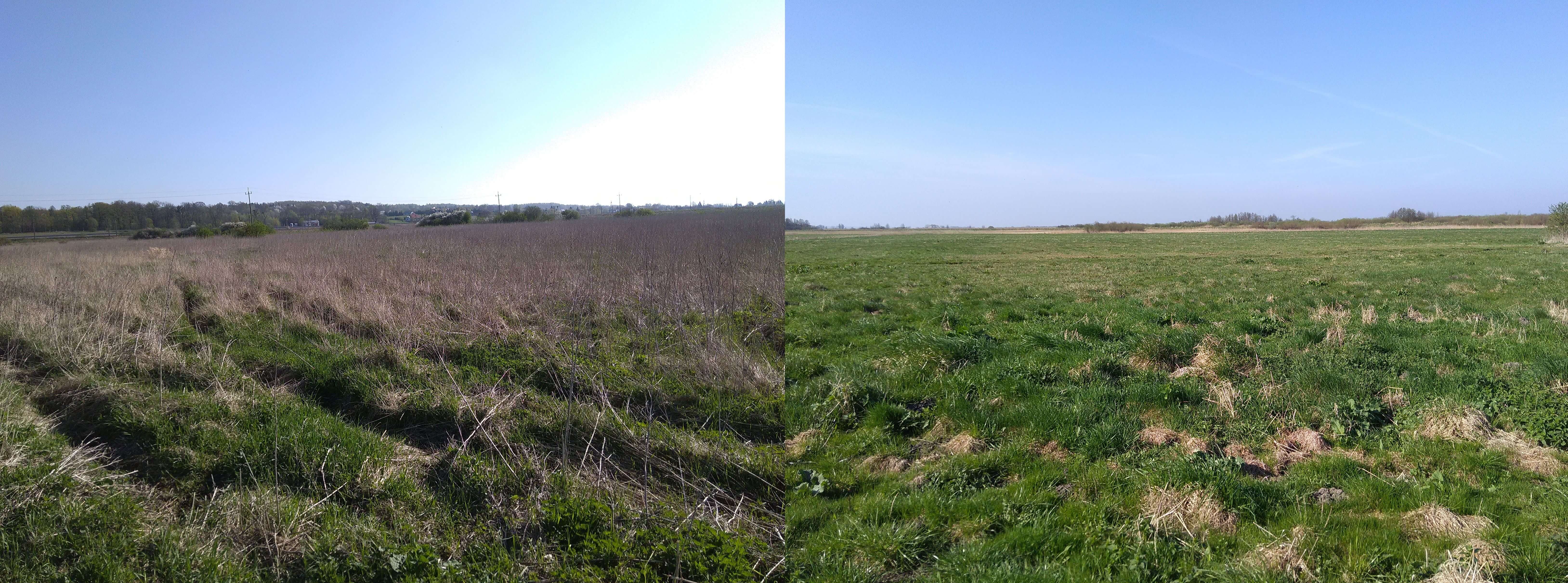 Na początku było Truso...